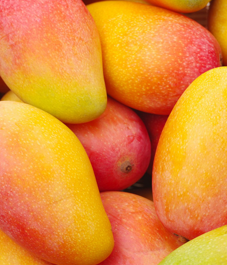 Home - NMEFInc. - Top Quality Fruit Import and Export Company