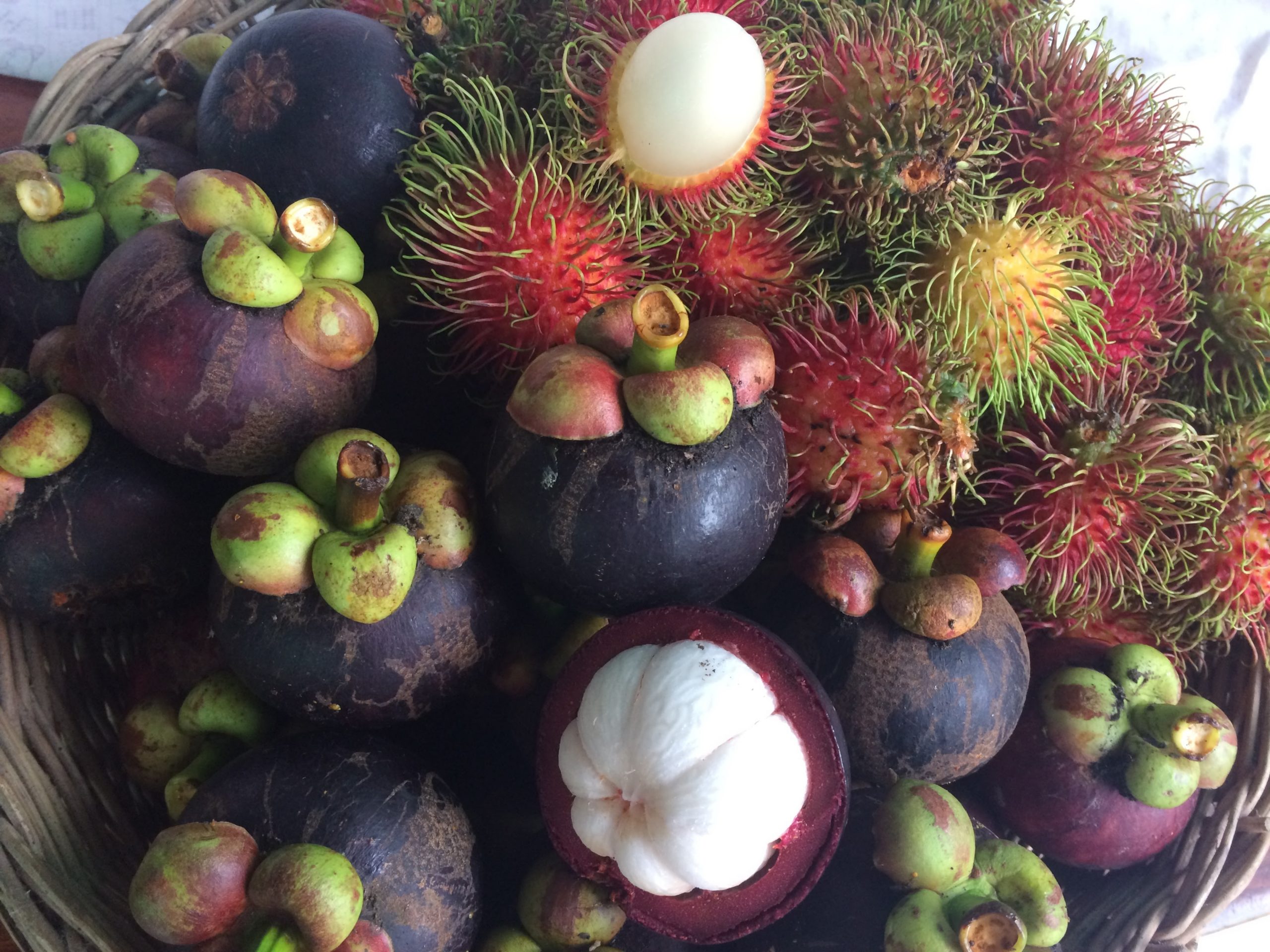 Home - NMEFInc. - Top Quality Fruit Import and Export Company